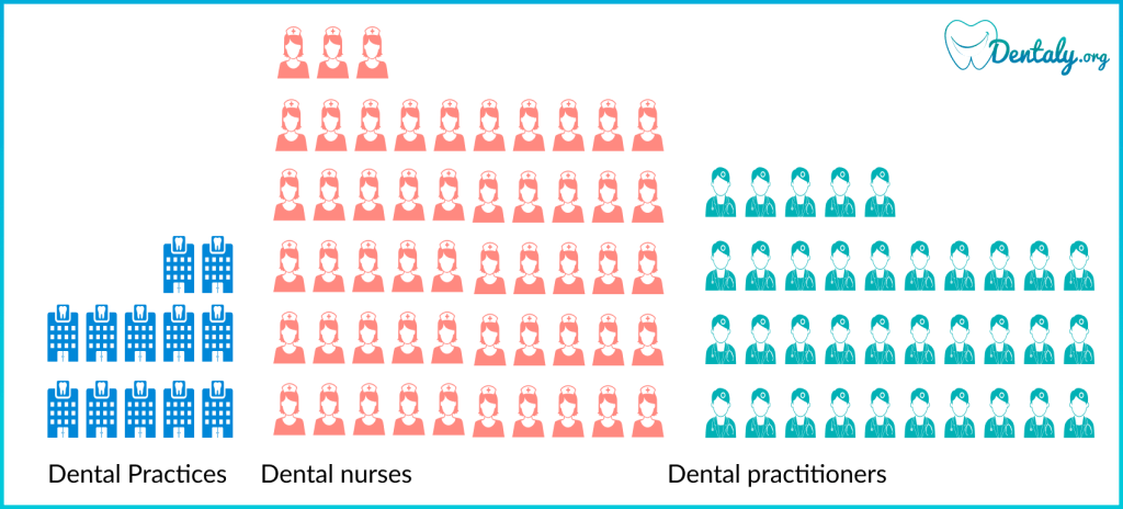 UK Dental Facts & Statistics, Interesting Teeth Trivia