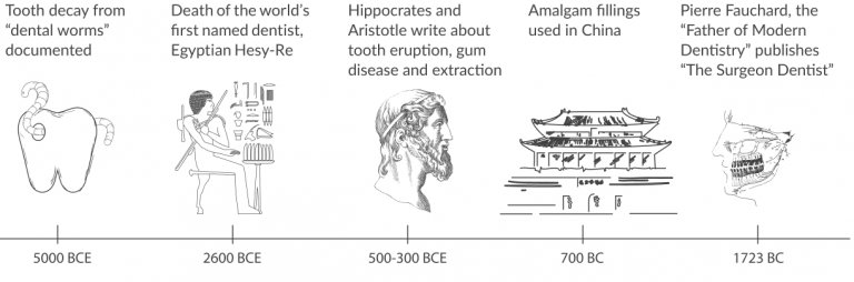 Dental Facts: Interesting and Fun Facts About Teeth - Dentaly.org