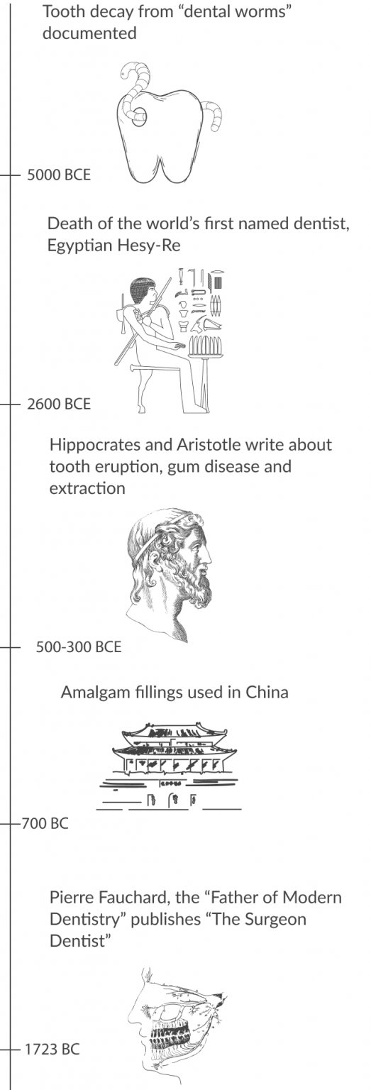Dental Facts: Interesting and Fun Facts About Teeth - Dentaly.org